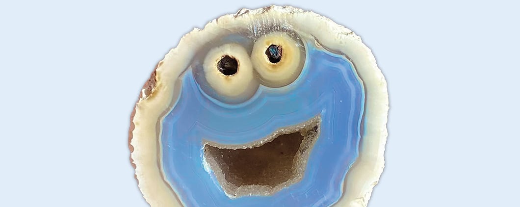 Picture This: Me Want Cookie Monster Rocks!