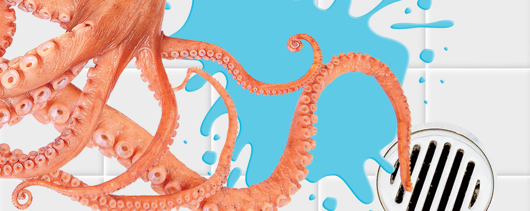 The Great Octopus Escape