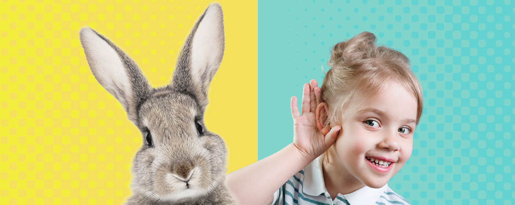 Which Are More Amazing? Rabbit Ears or Your Ears?