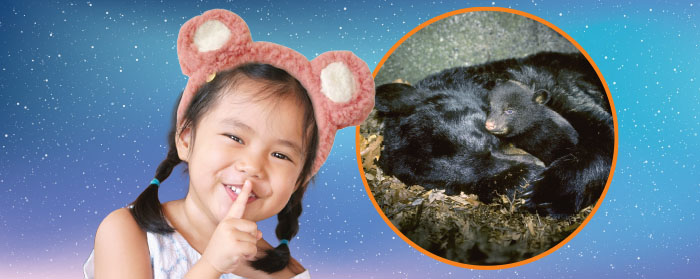 Shh! Don’t Wake the Bears